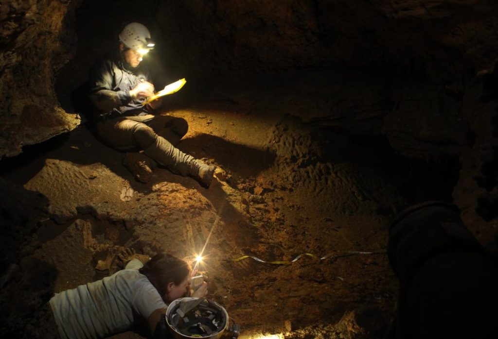 Cave Maps | Missouri Speleological Survey